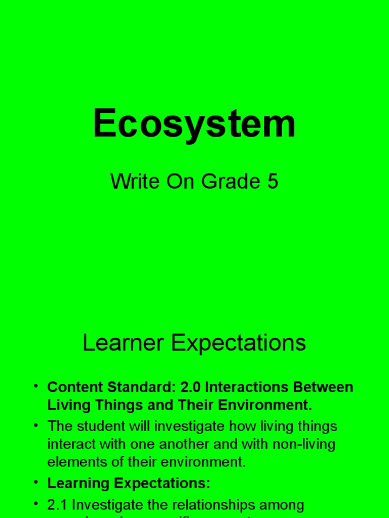 Understanding Ecosystems for Grade 5 | PDF