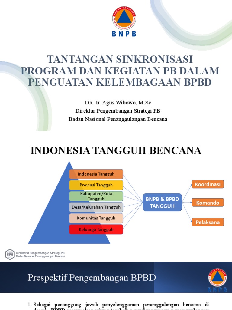 Tantangan Sinkronisasi Program Dan Kegiatan PB Dalam Penguatan Kelembagaan BPBD | PDF