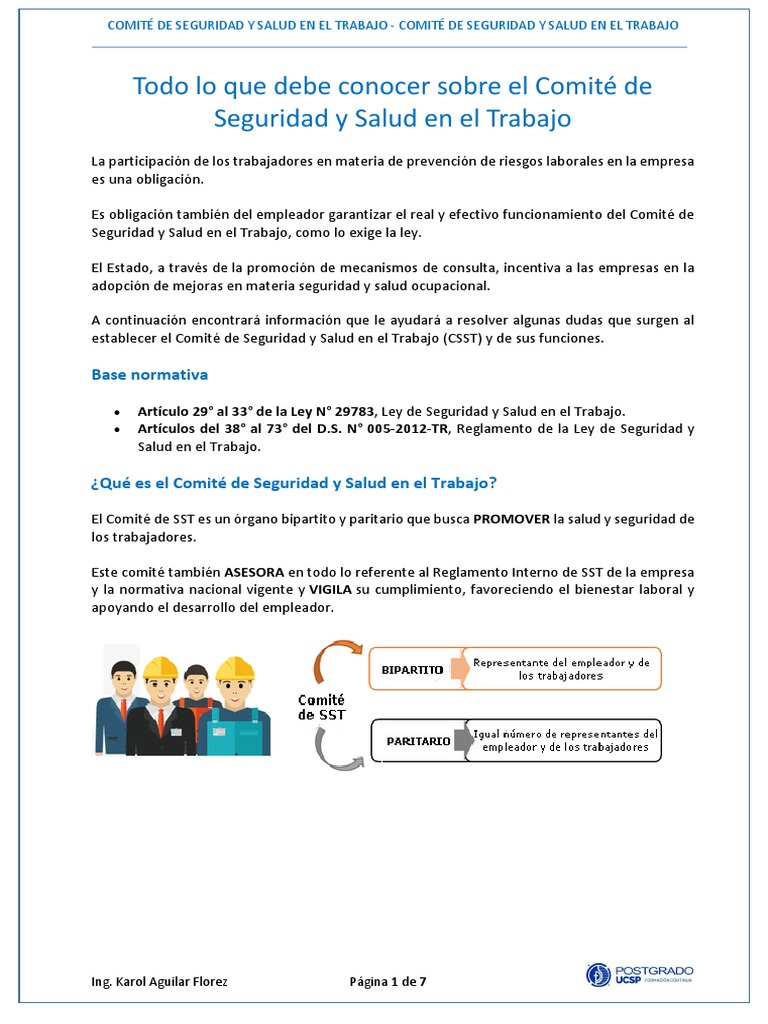 Comité de Seguridad y Salud en El Trabajo - Caso Práctico | PDF ...