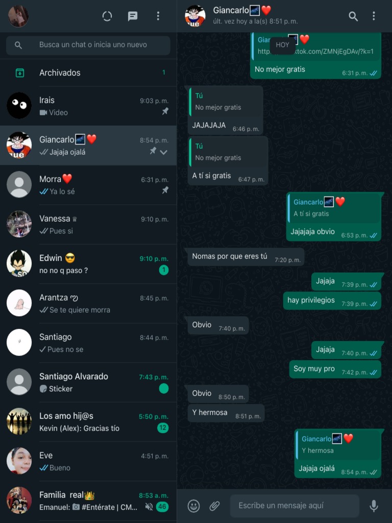 WhatsApp | PDF | Chat en linea | Comunicación por medio de ordenadores