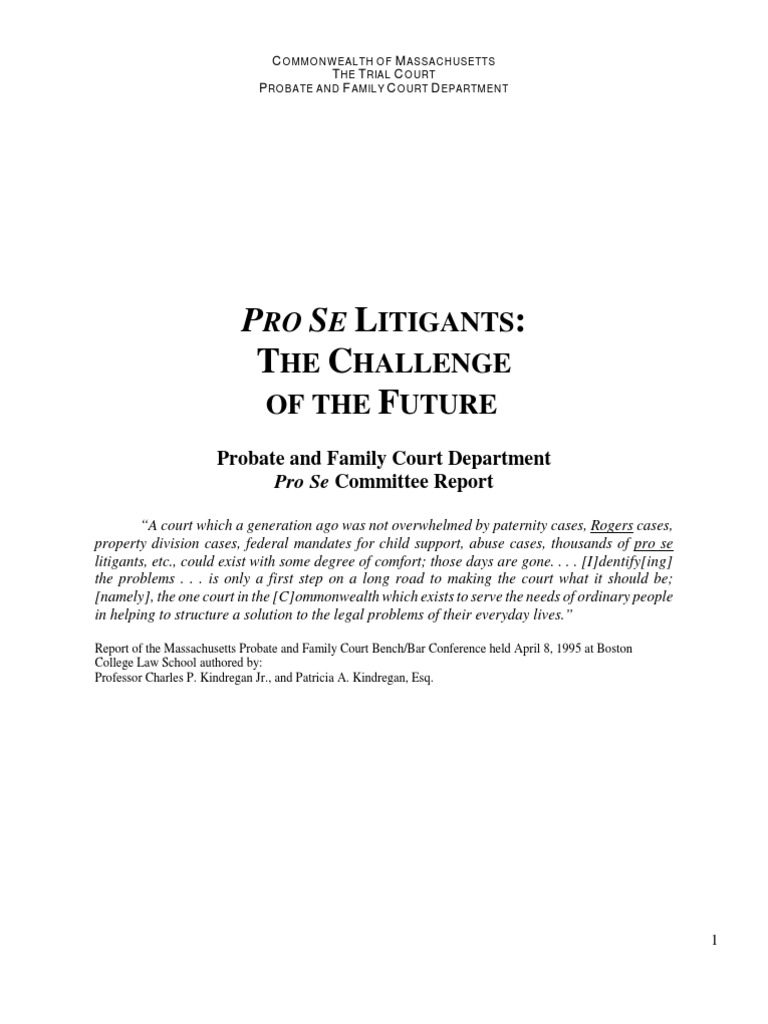 Pro Se Litigants | Pro Se Legal Representation In The United States ...