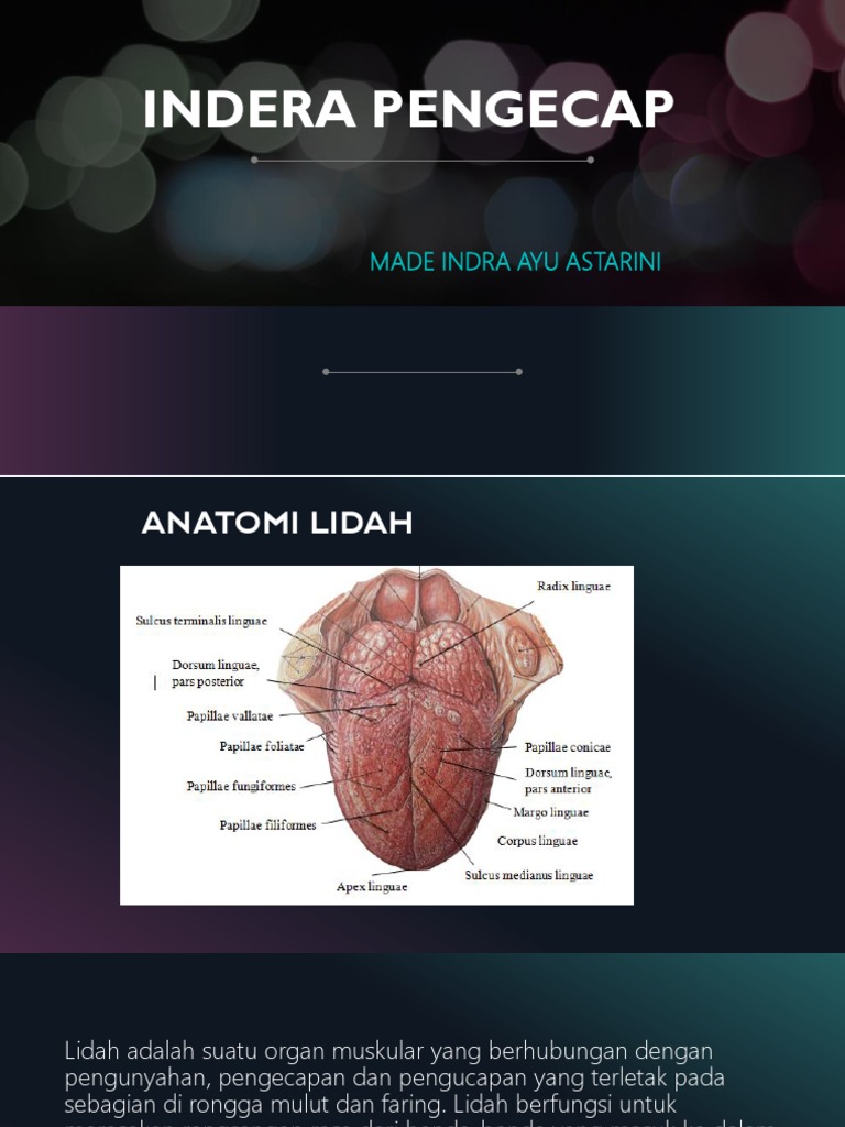 Anfis Lidah | PDF