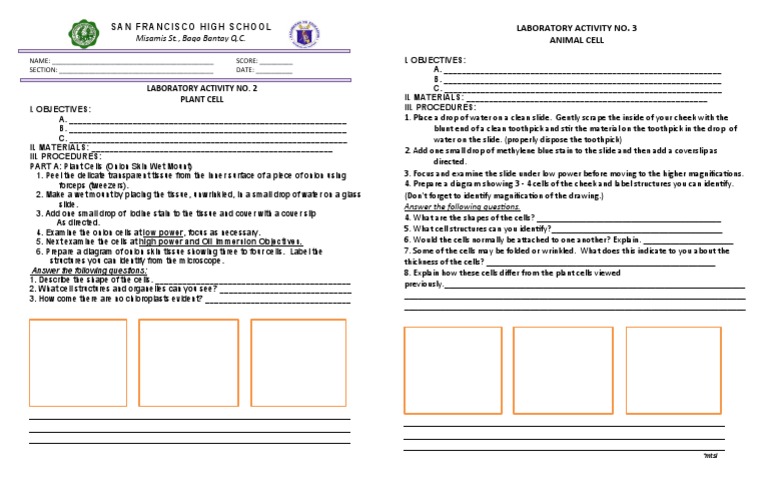 Lab Activity 2 and 3 Cells | PDF