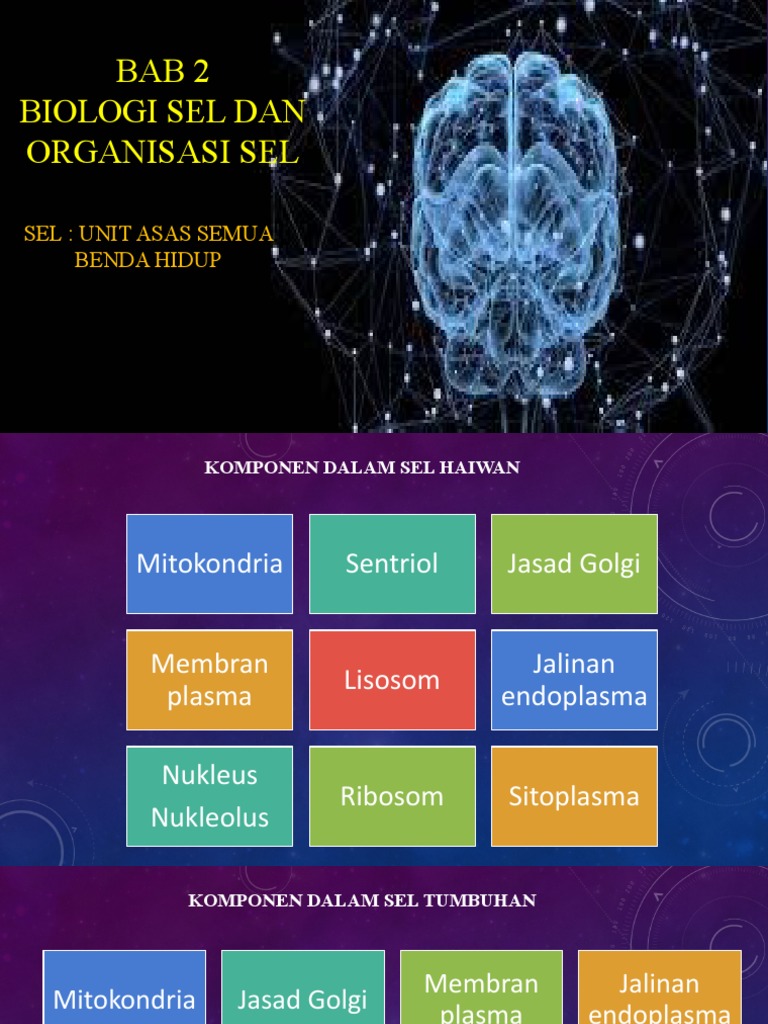 Bab 2 Bio T4 | PDF