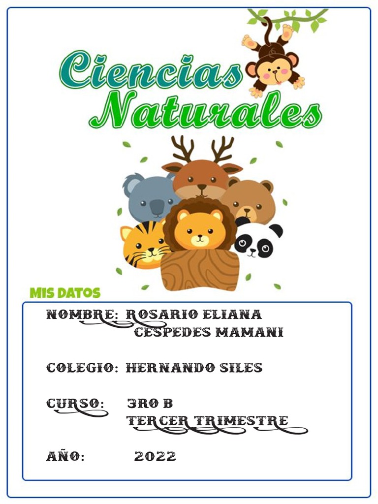 Caratulas | PDF