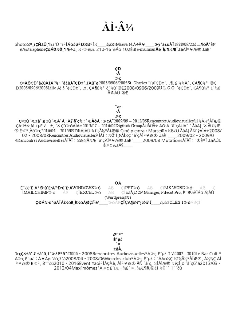 CV Coreen Template | PDF