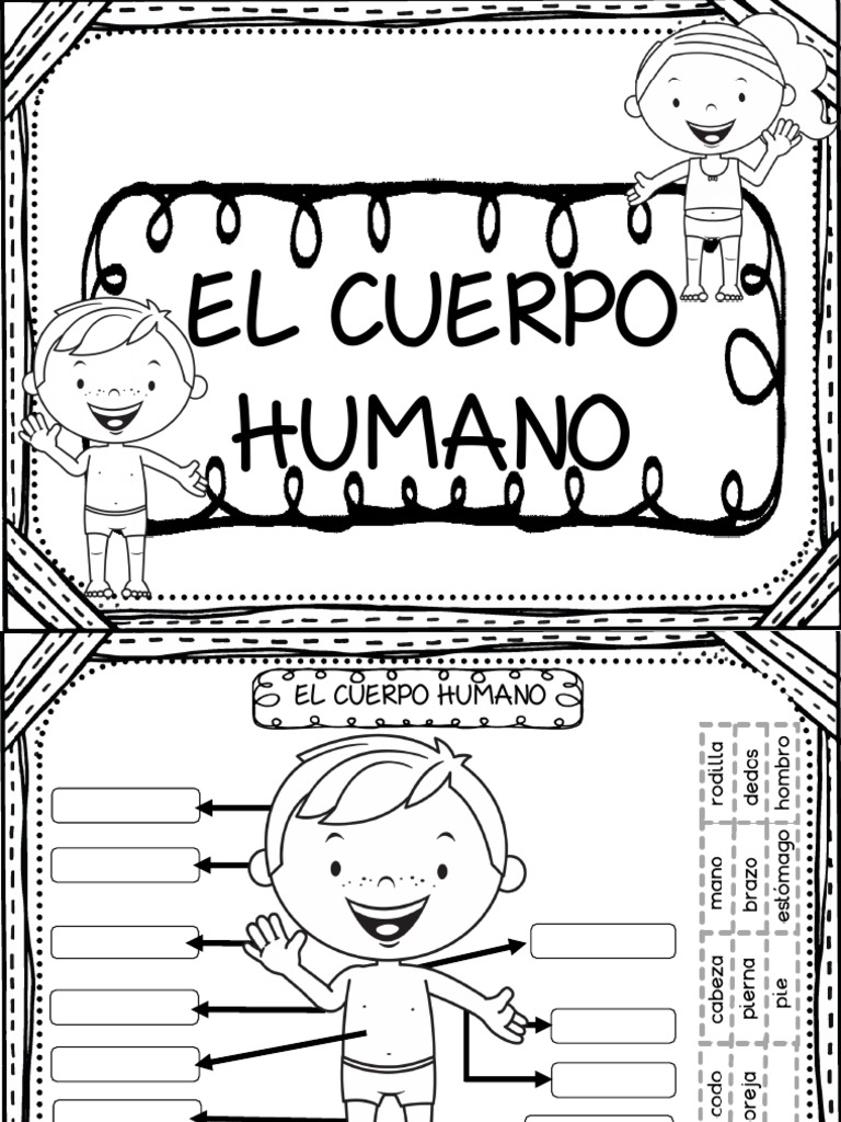 El Cuerpo Humano-1-13 | PDF | Pulmón | Corazón