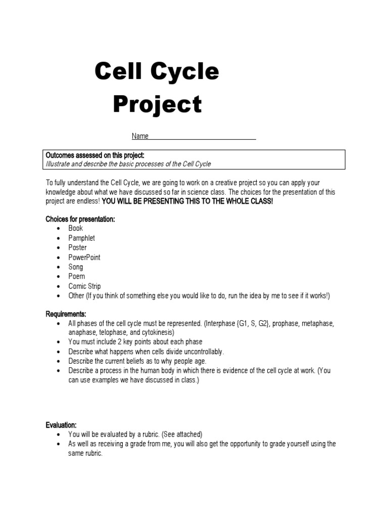 Cell Cycle Project | PDF | Cell Cycle | Cell Biology