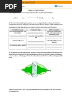Magnification Questions | PDF | Cell (Biology) | Cell Biology