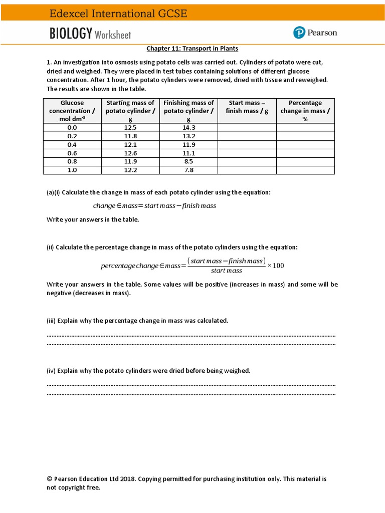 IGCSE - Bio - Worksheet 11 - Transport in Plants | PDF | Chemistry ...