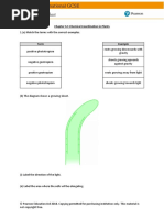 IGCSE - Bio - Worksheet 16 - Chromosomes, Genes and DNA | PDF