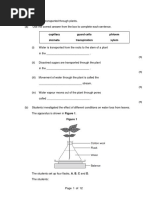 Magnification Questions | PDF | Cell (Biology) | Cell Biology