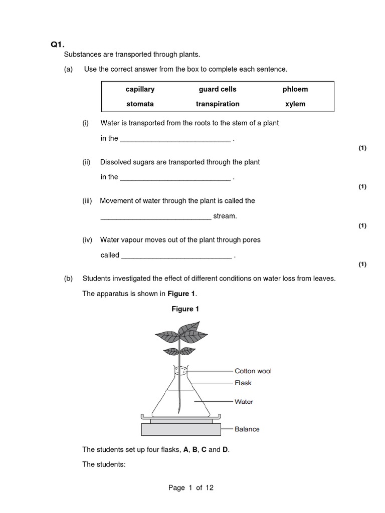 Transpiration Exam Practice Questions | PDF | Stoma | Leaf