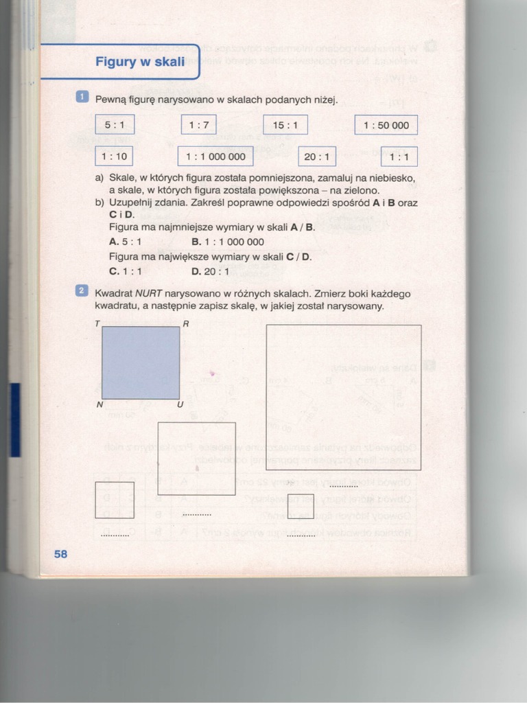 skany figury w skali | PDF