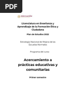 Programa Sintético FASE 3 Primaria ANEXO Acuerdo 080823 | PDF | Plan de ...