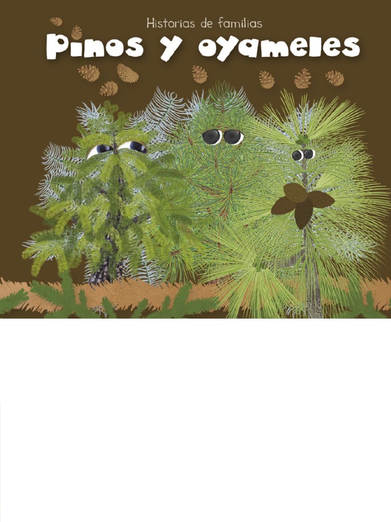 Pinos Oyameles Web | PDF | Arboles | Papel