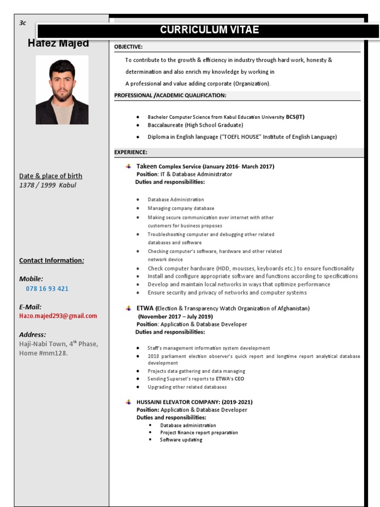 Hafez CV | PDF | Databases | Software