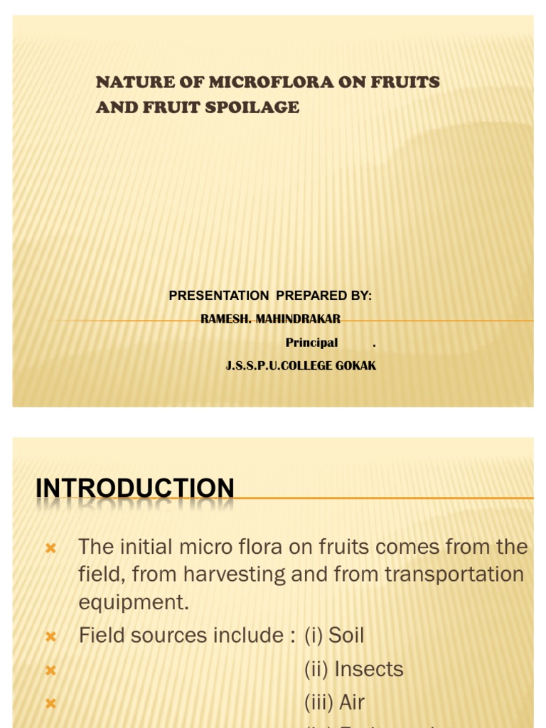 An Overview of the Microflora Found on Fruits and Their Role in Fruit ...