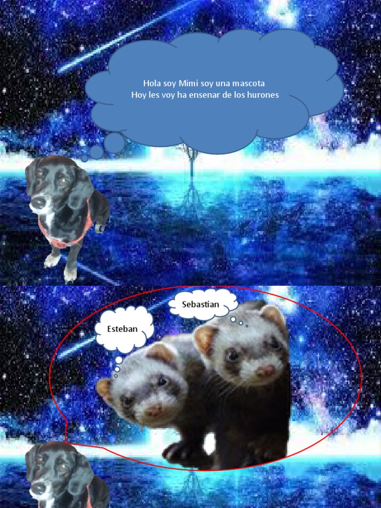 Presentacion Mimi Sebas | PDF