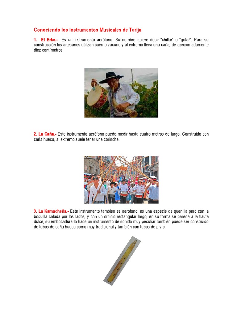 Los instrumentos musicales tradicionales de Tarija y su importancia en ...