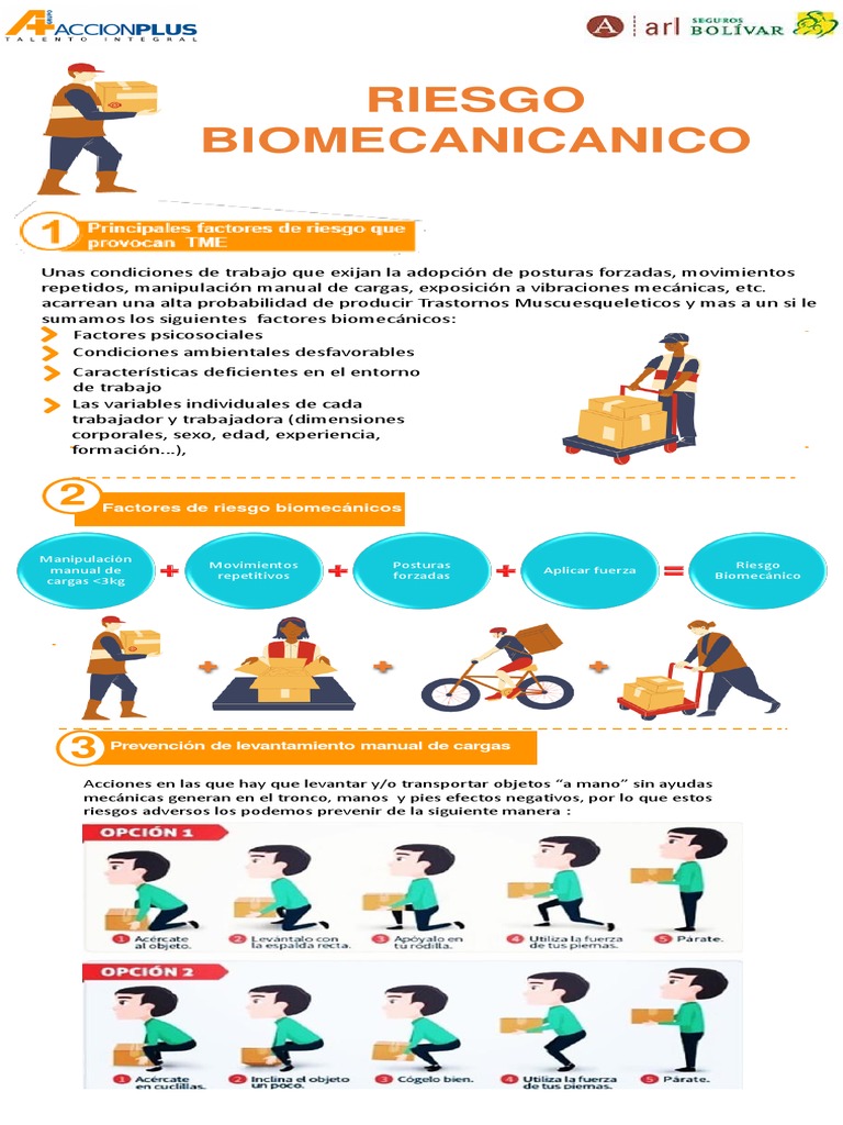 Riesgo Biomecanico Infografia | PDF