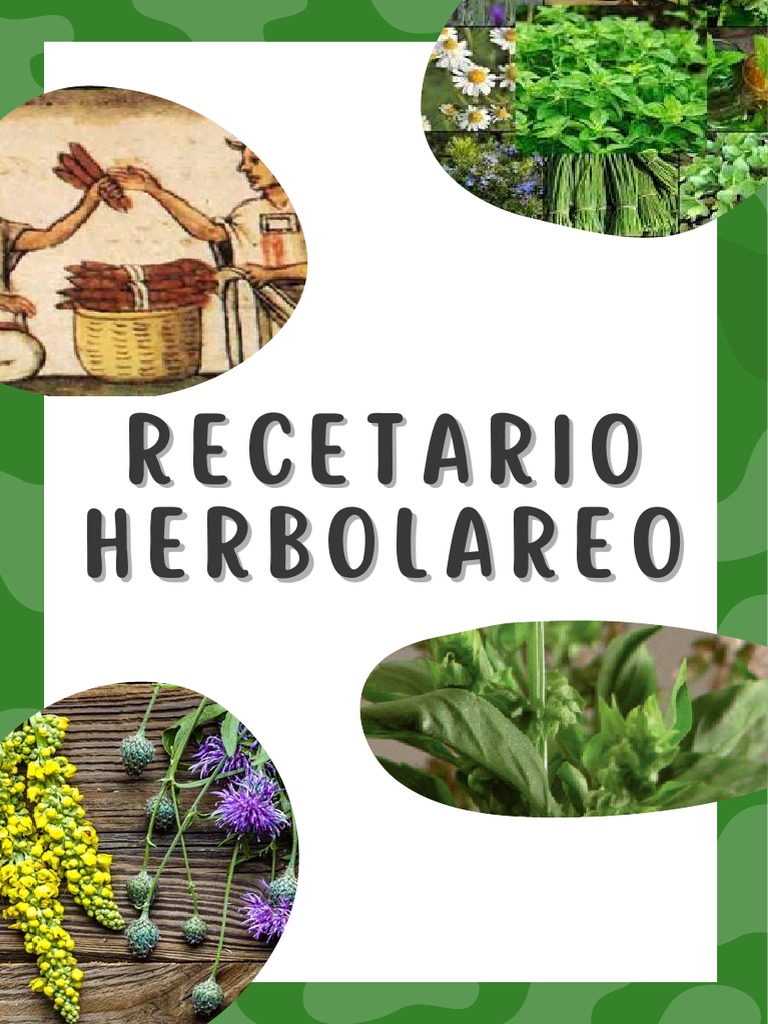 Recetario Herbolario | PDF | Té | Albahaca