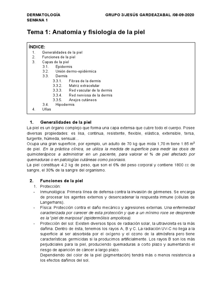Tema 1 Anatomía Y Fisiología De La Piel Pdf Piel Epidermis