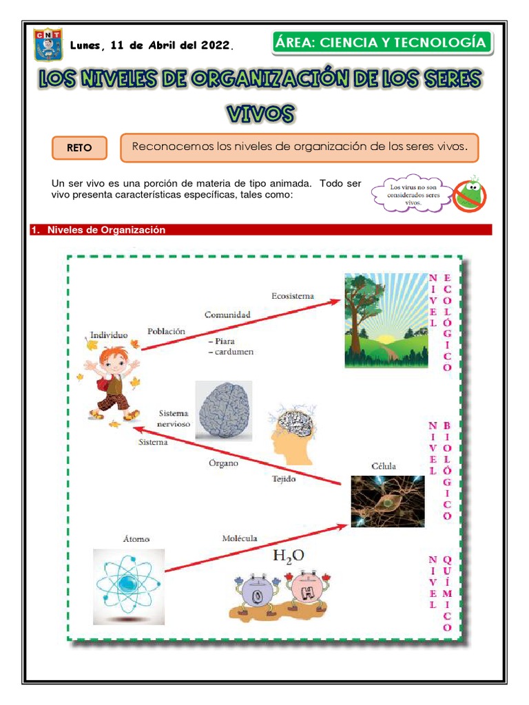 FICHA CyT. 11-04-2022 | PDF