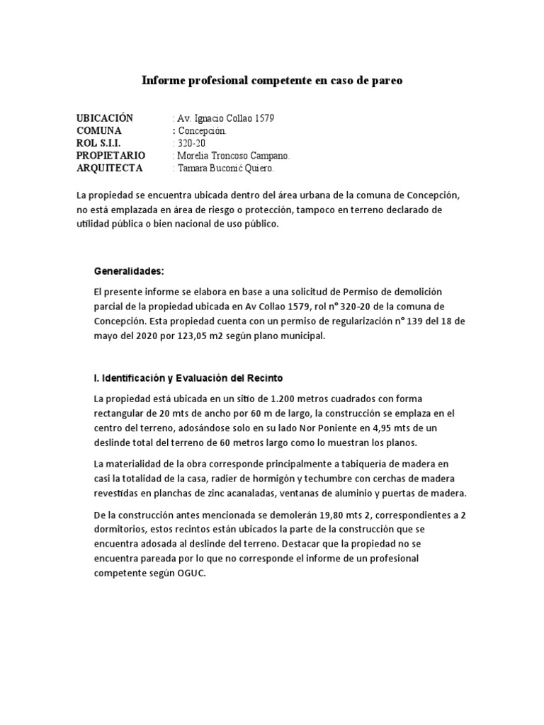 Informe Profesional Comptente Collao 1579 | PDF