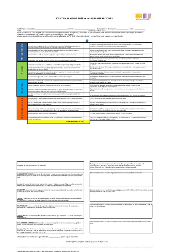 Formato de Evaluación de Potencial Ops | PDF