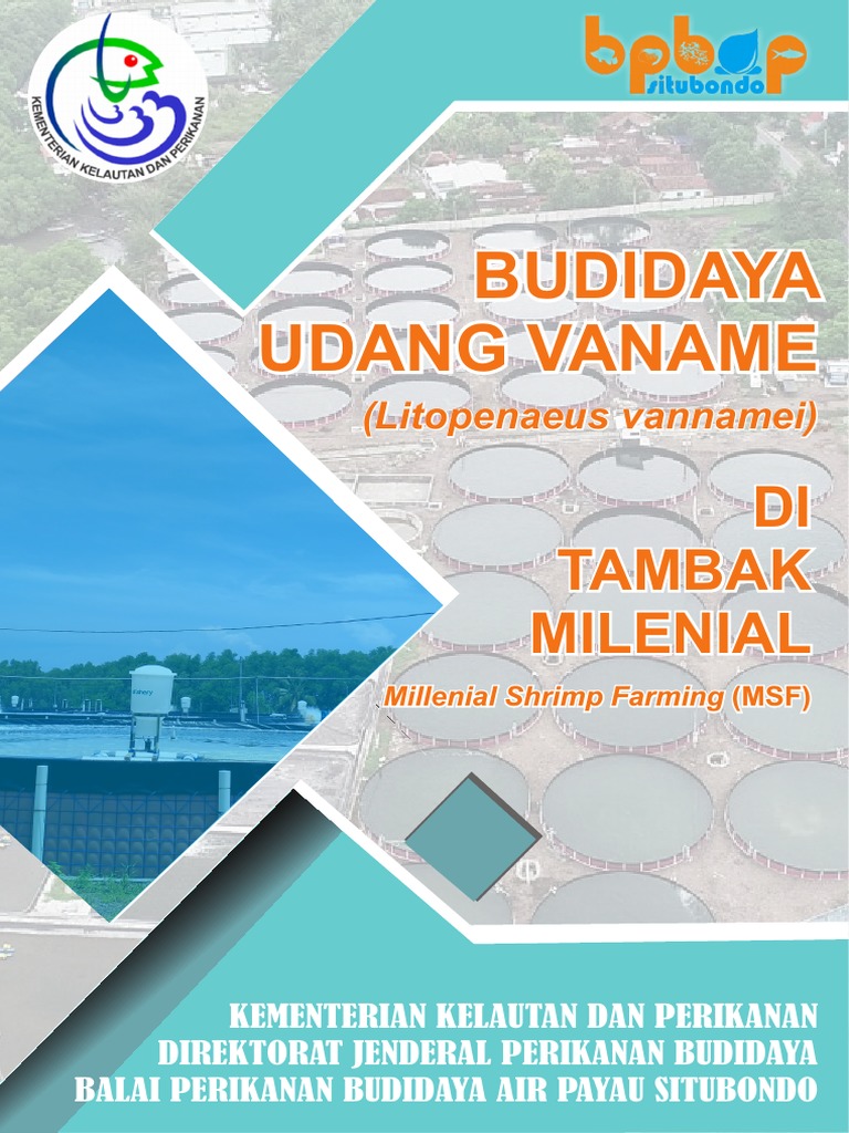 Budidaya Udang Vaname MSF | PDF