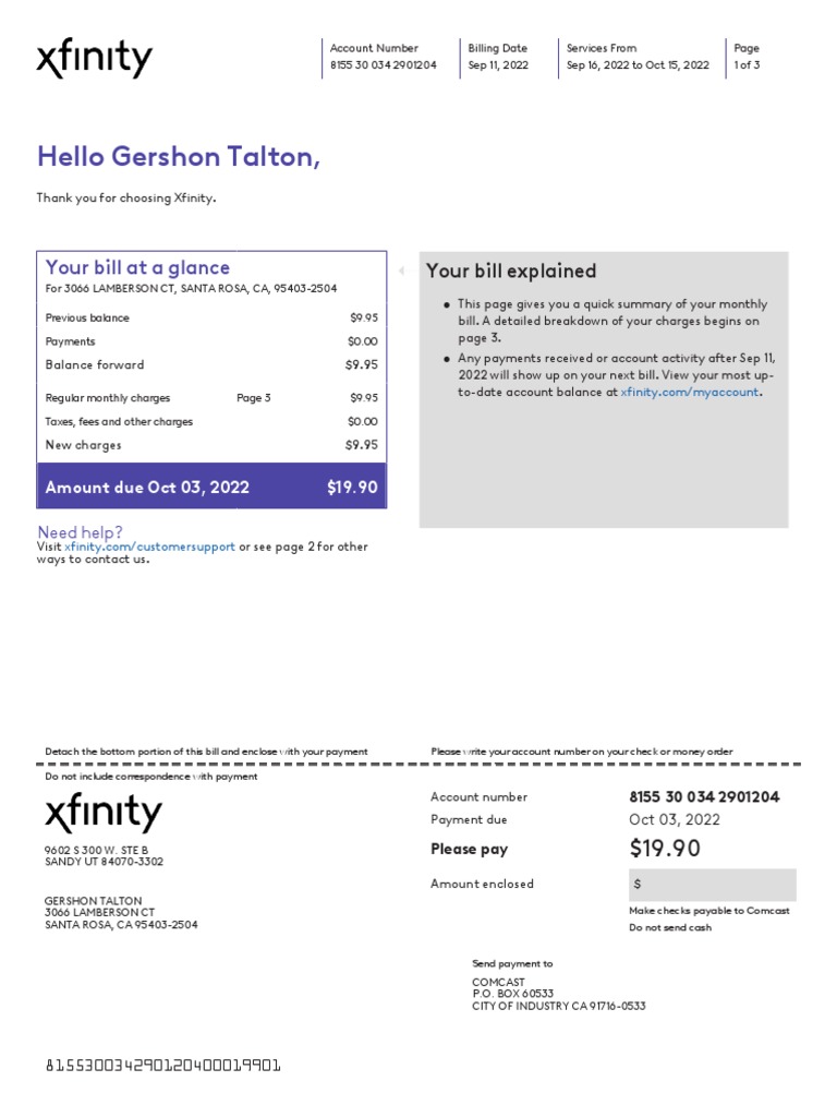 statement | PDF | Telecommunications | Payments