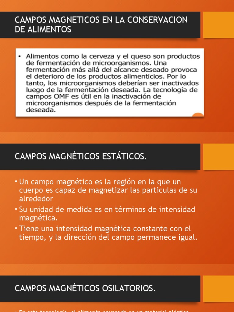 Campos Magneticos en La Conservacion de Alimentos | PDF