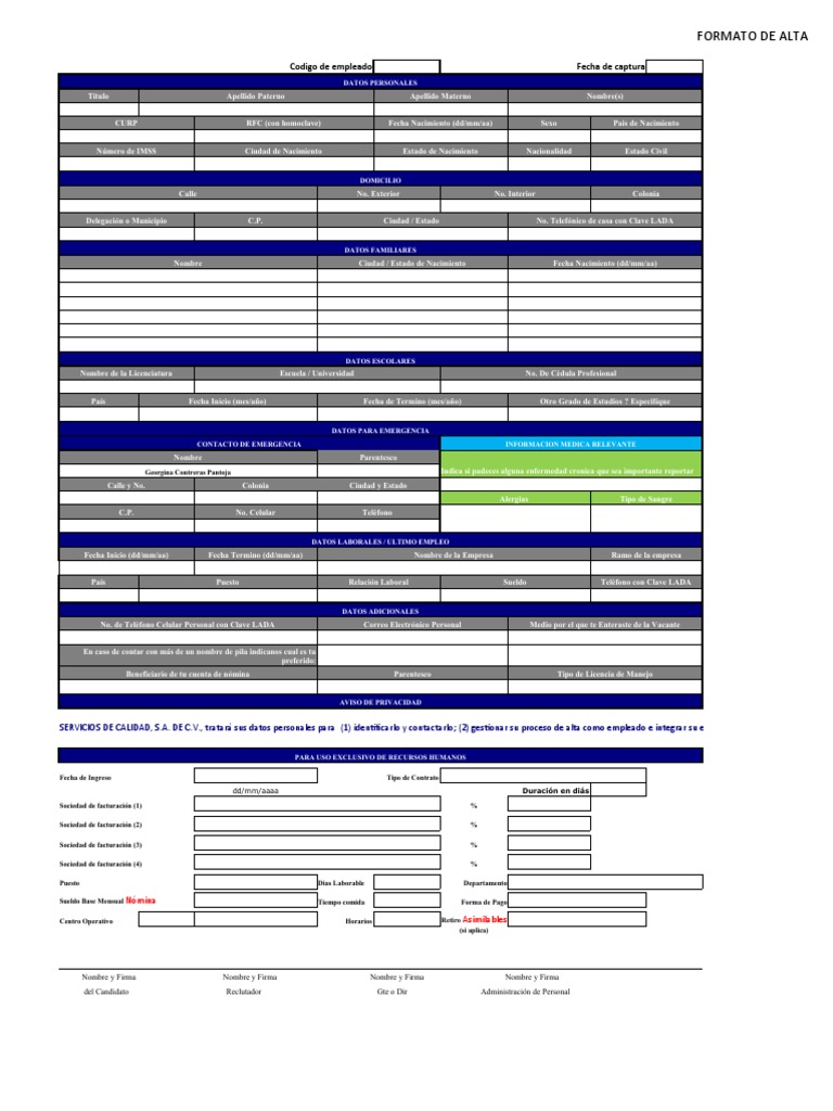 Formato Alta Trabajador | PDF