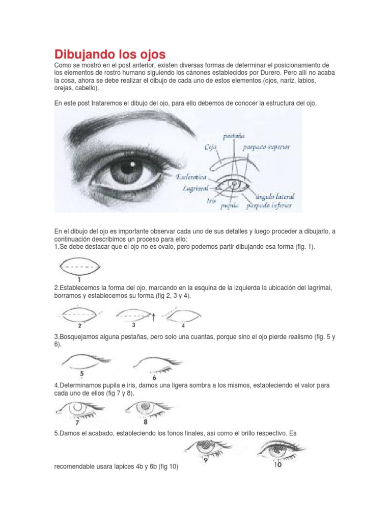 Dibujando Los Ojos | PDF | Mano | Longitud