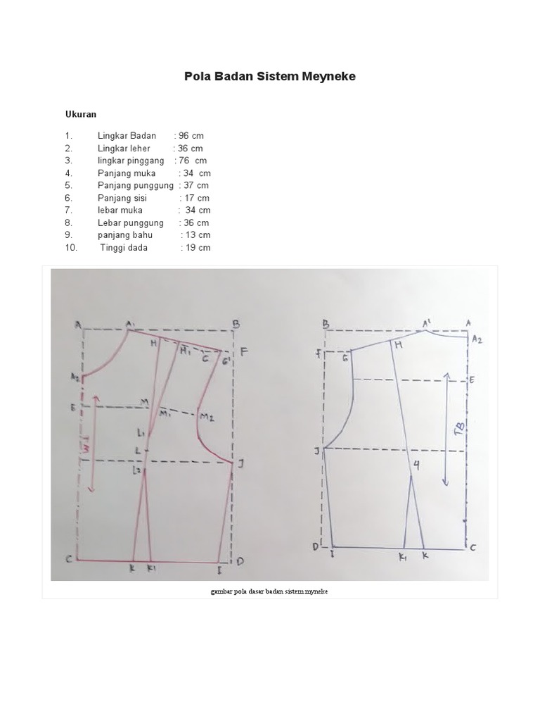 Pola Badan Sistem Meyneke | PDF | Metode & Bahan Ajar