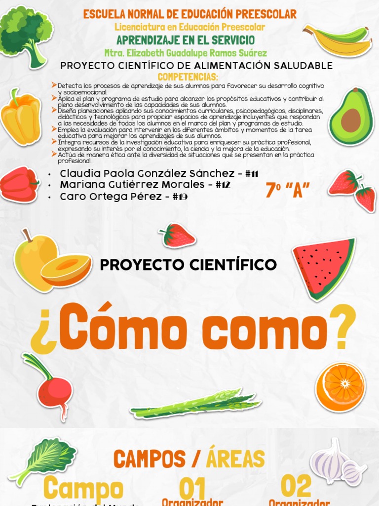 Proyecto de Alimentación Saludable Infantil | PDF | Educación de la ...