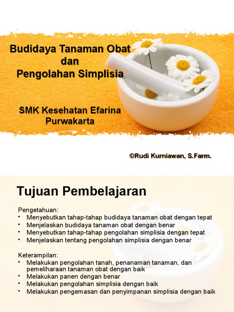 Budidaya Tanaman Obat & Pengolahan Simplisia | PDF
