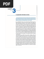 Neuropsi. Manual. Atención y Memoria (2da. Edición) | PDF