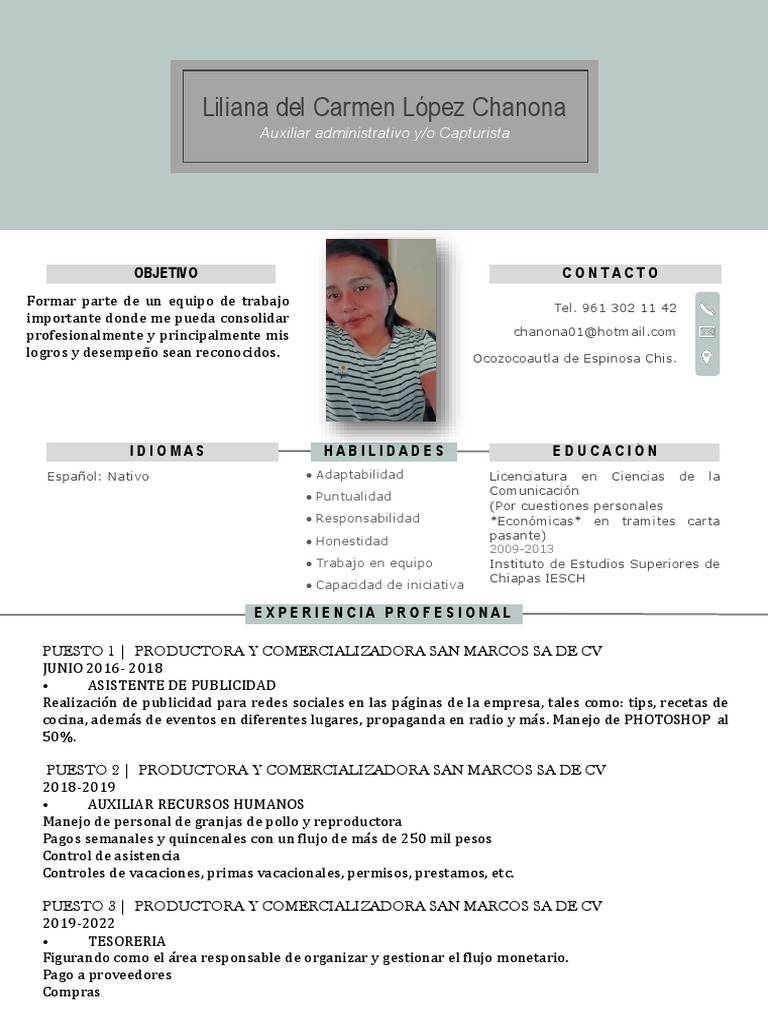 Cv Lili Actualizado | PDF