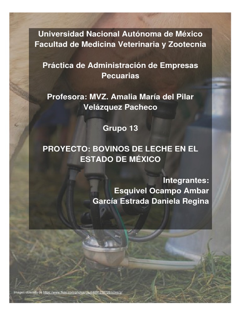 Proyecto Final Lechero | PDF | Leche | Cereales