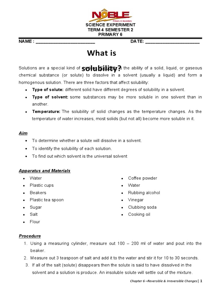 Solubility Experiment for Grade 6 | PDF | Solubility | Solvent