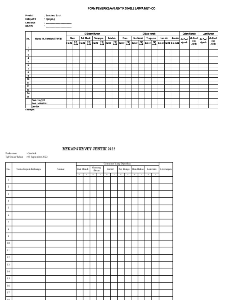 Format PE Dan Survei Jentik | PDF