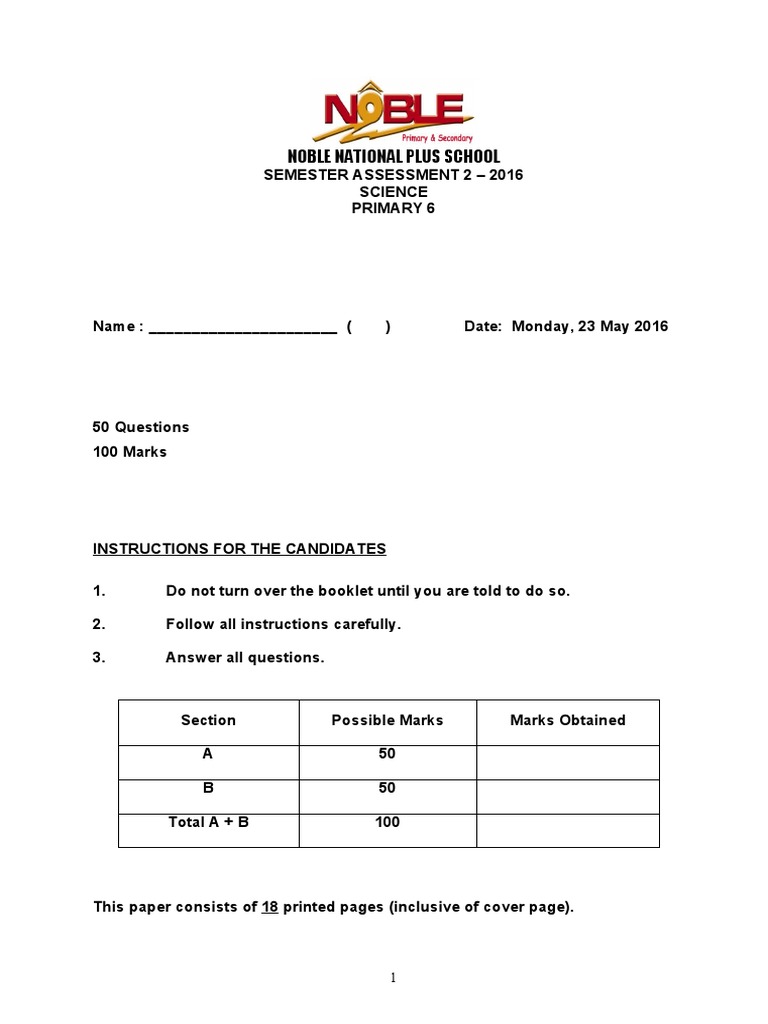 P6 Science | PDF | Potential Energy | Herbivore