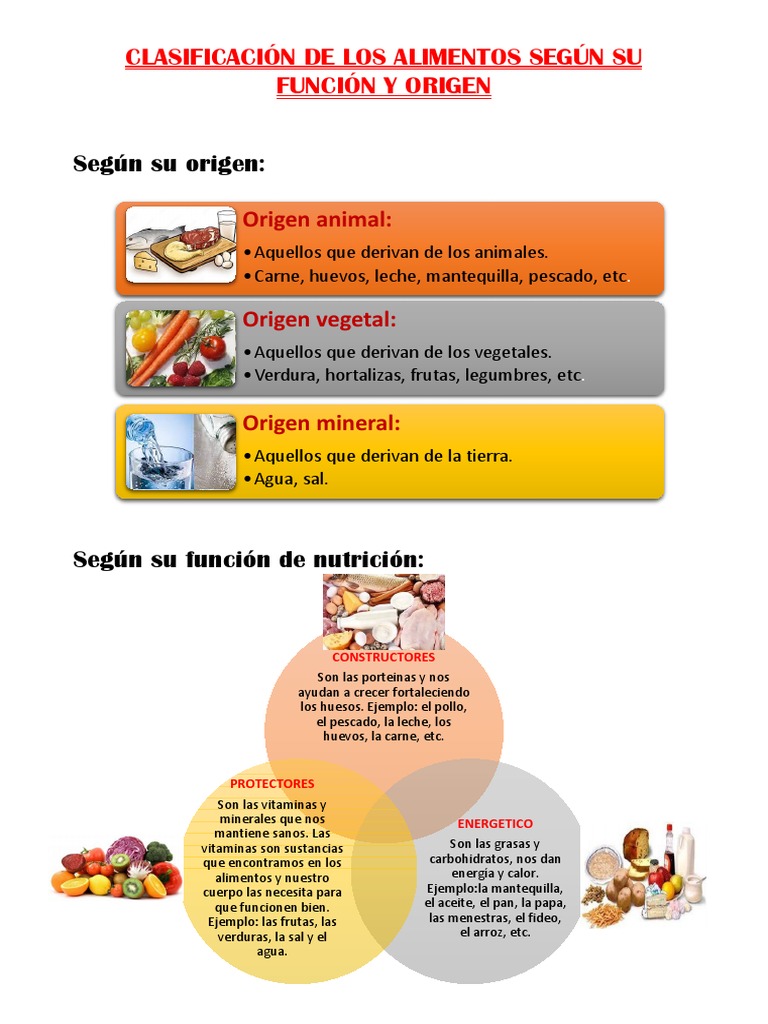 Clasificación de Los Alimentos Según Su Función y Origen | PDF