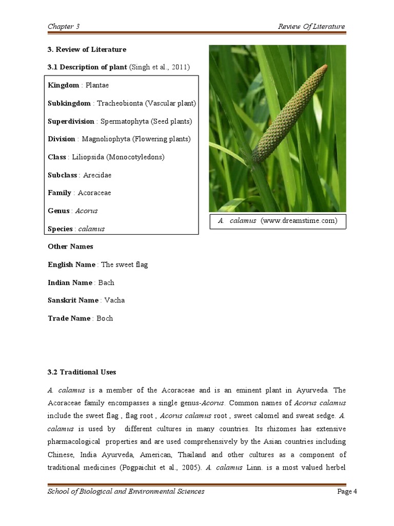 Chapter 3 Review of Literature | PDF | Medical Specialties | Clinical Medicine