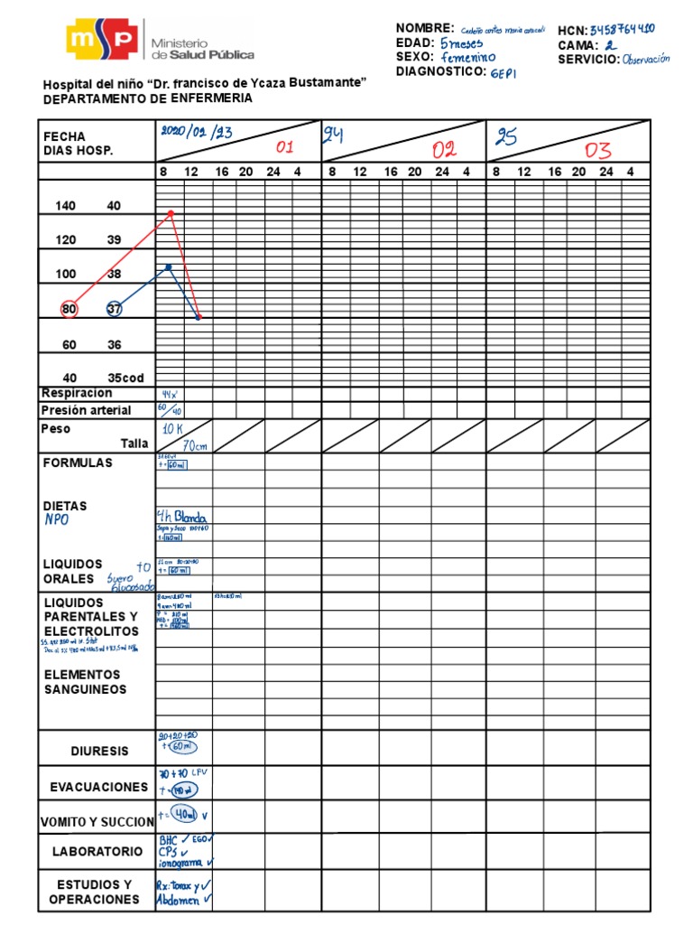 Hojas de Enfermeria | PDF