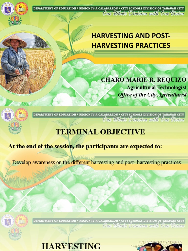 Day3 - Session6b - Harvesting and Post - Harvesting Practices | PDF ...