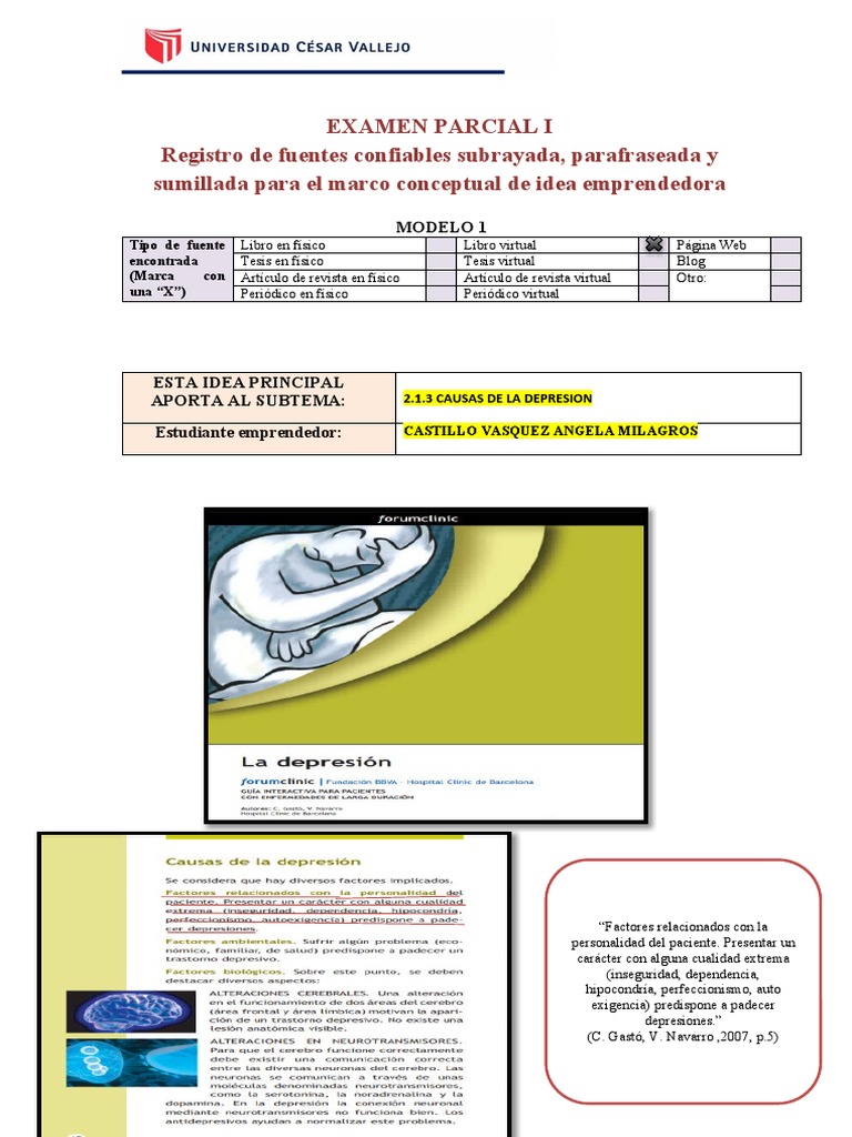 Registro de Fuentes para Idea Emprendedora Castillo Vasquez Angela ...
