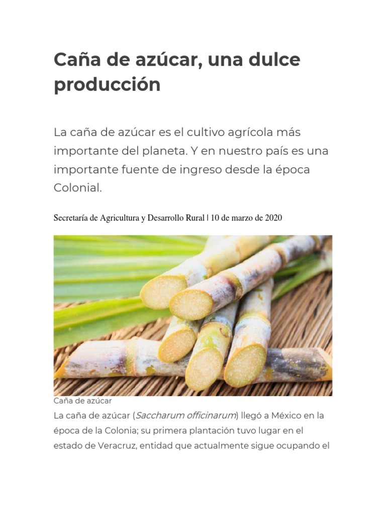 Producción de caña de azúcar en México | PDF